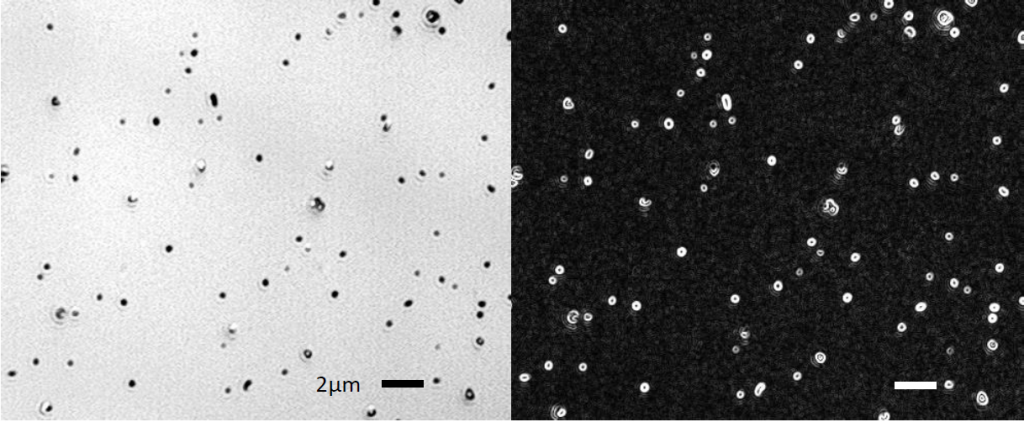 Heavy-ion physics – Pôle physique nucléaire